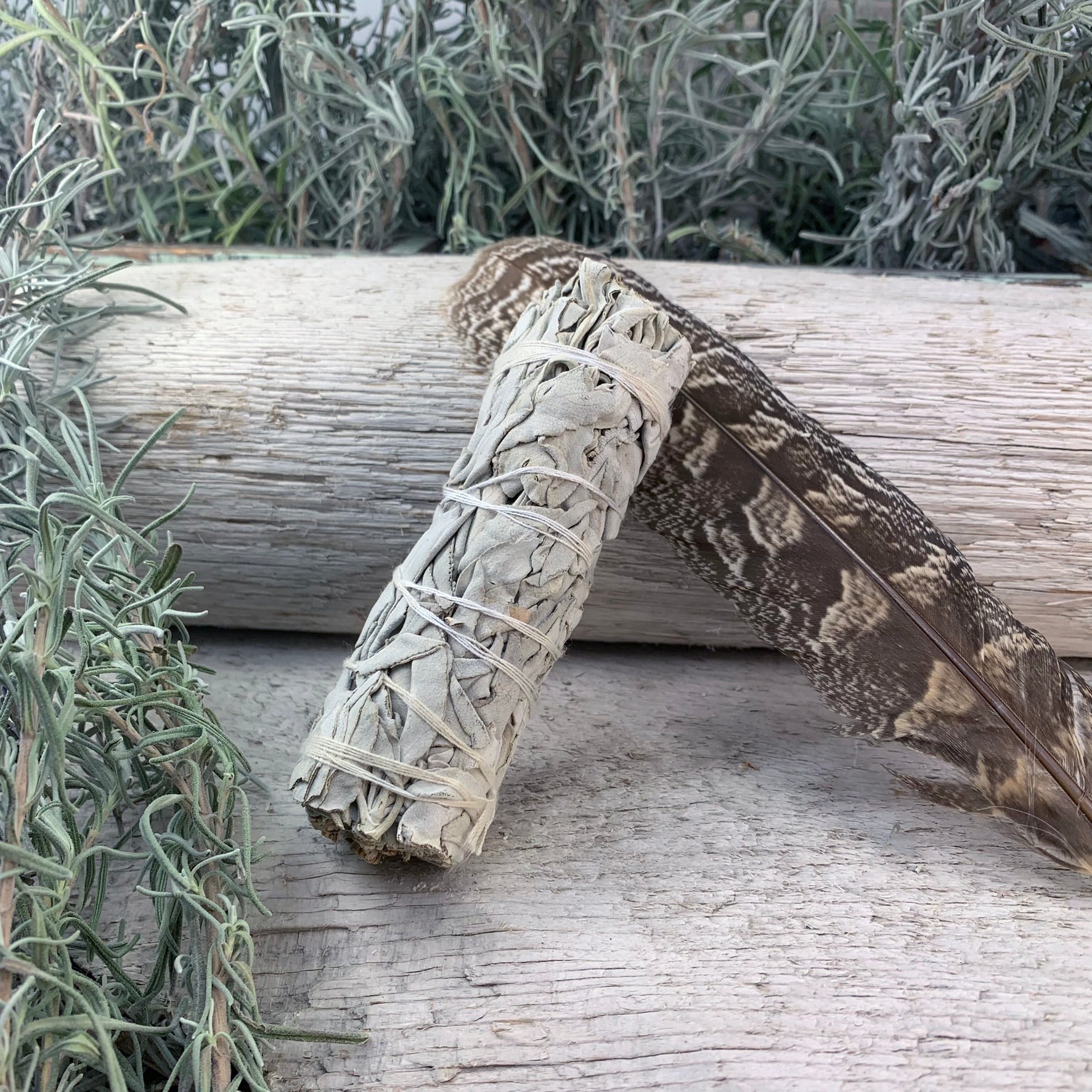 4" White Sage Bundle(s) – Spirit Magicka