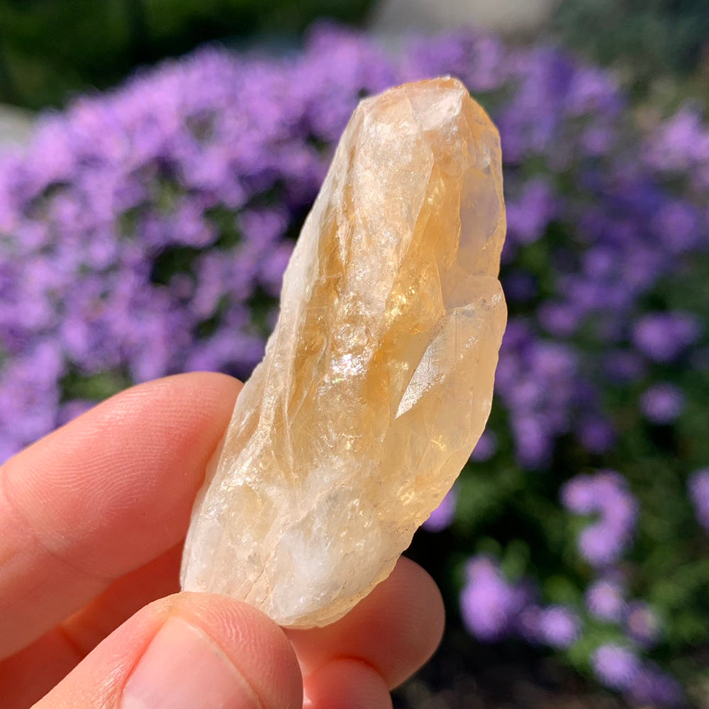 Citrine Rough Shards – Spirit Magicka