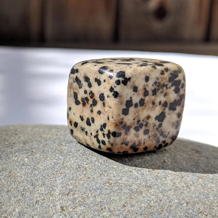 Dalmatian Stone Meaning And Spiritual Properties – Spirit Magicka
