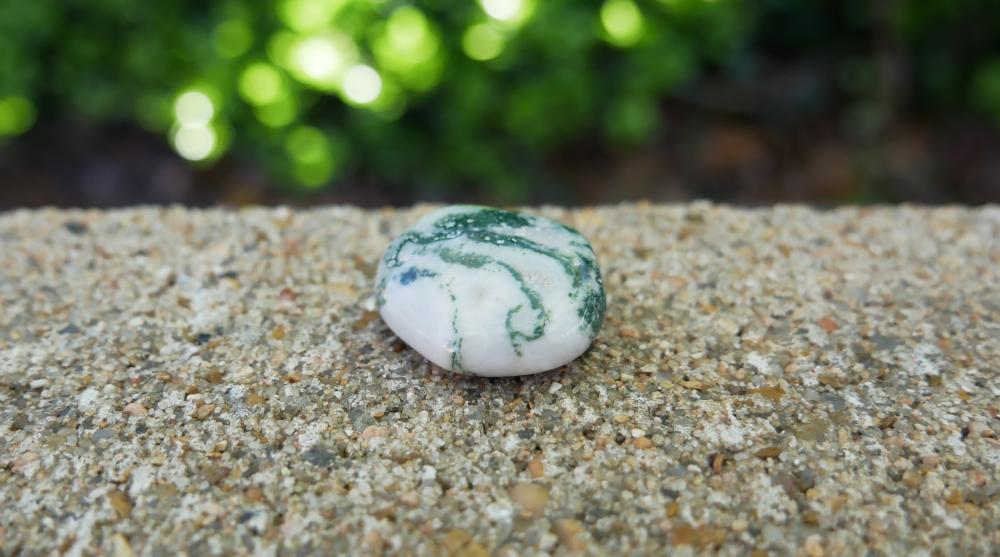 Tree Agate Meaning And Spiritual Properties – Spirit Magicka