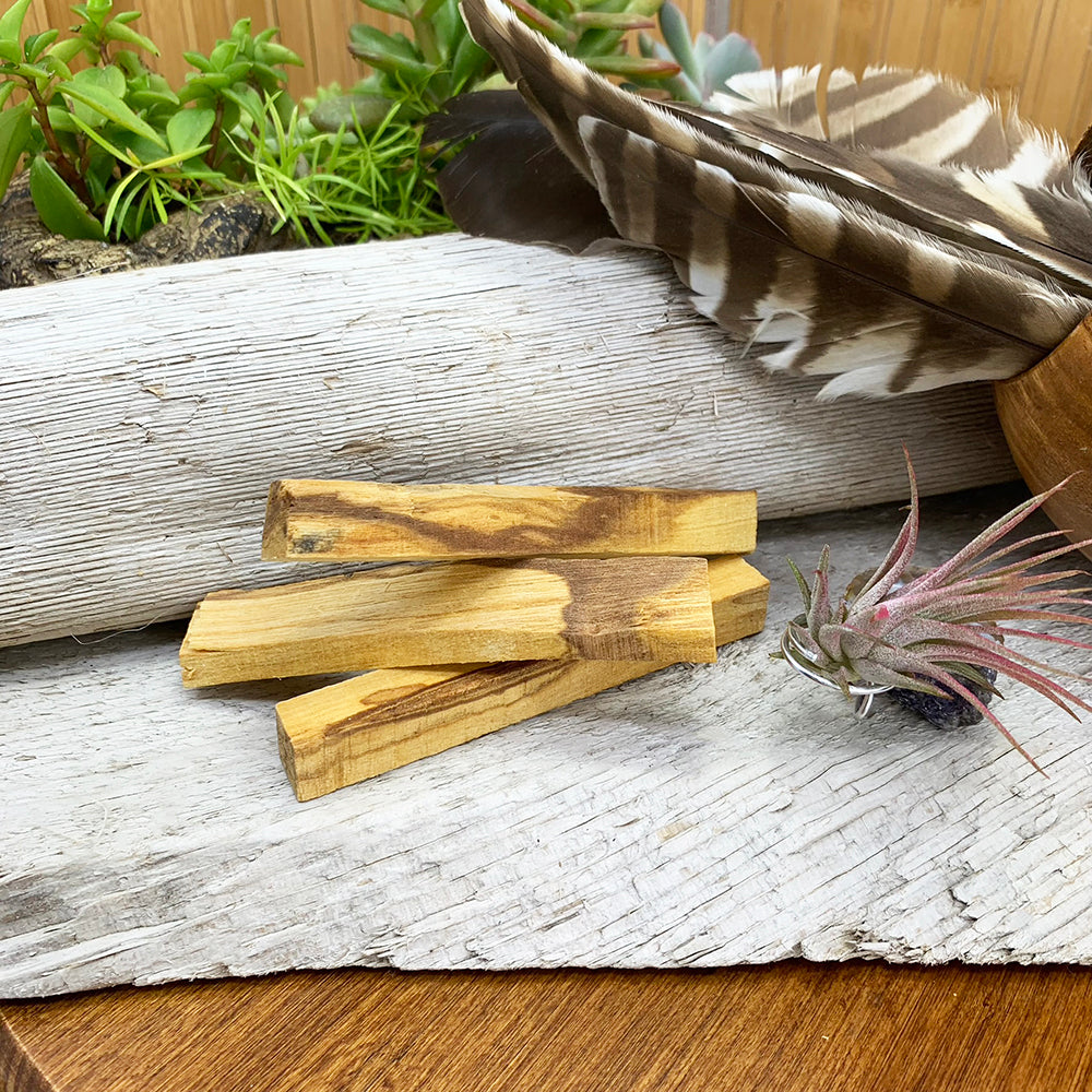 4" Palo Santo Stick(s) – Spirit Magicka