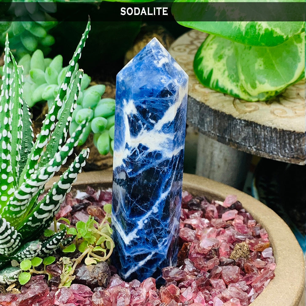 43-Piece Crystal Collectors Super Kit – Spirit Magicka