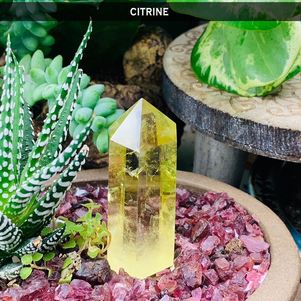 43-Piece Crystal Collectors Super Kit – Spirit Magicka