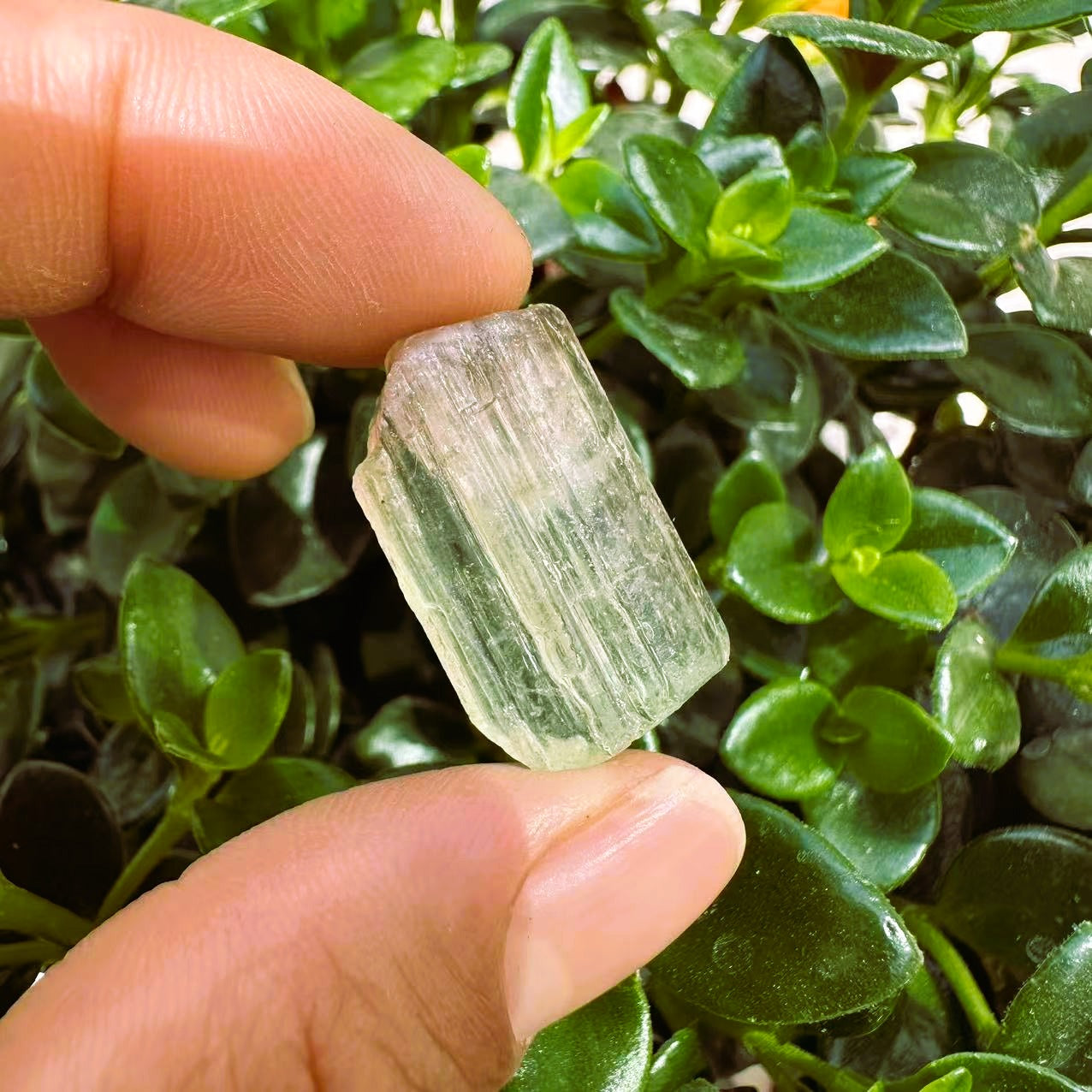 Watermelon Tourmaline Specimen – Spirit Magicka