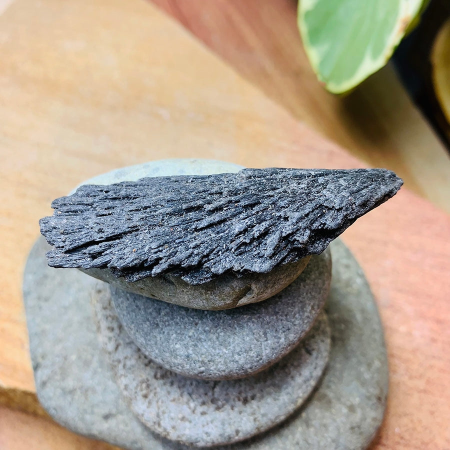 Black Kyanite Natural Fan – Spirit Magicka