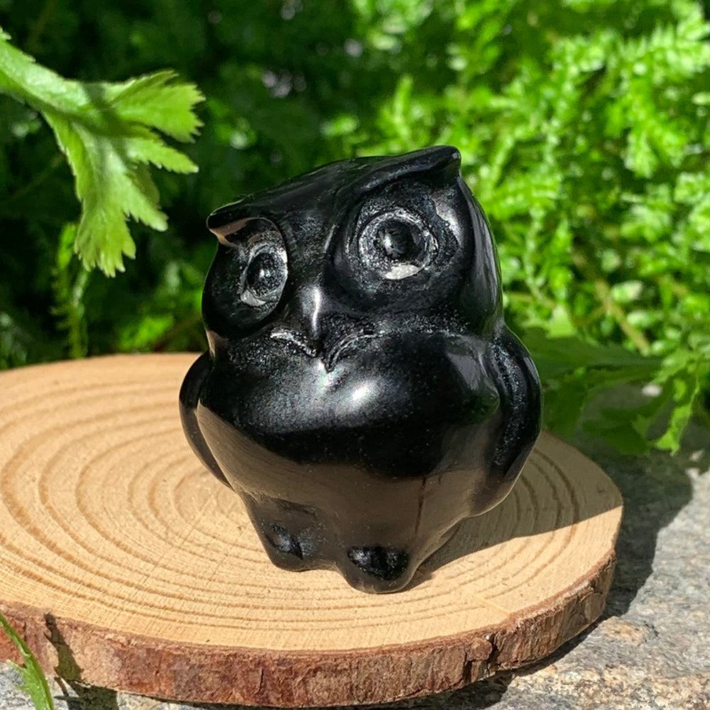 Crystal Spirit Totems: Owl - Black Agate – Spirit Magicka