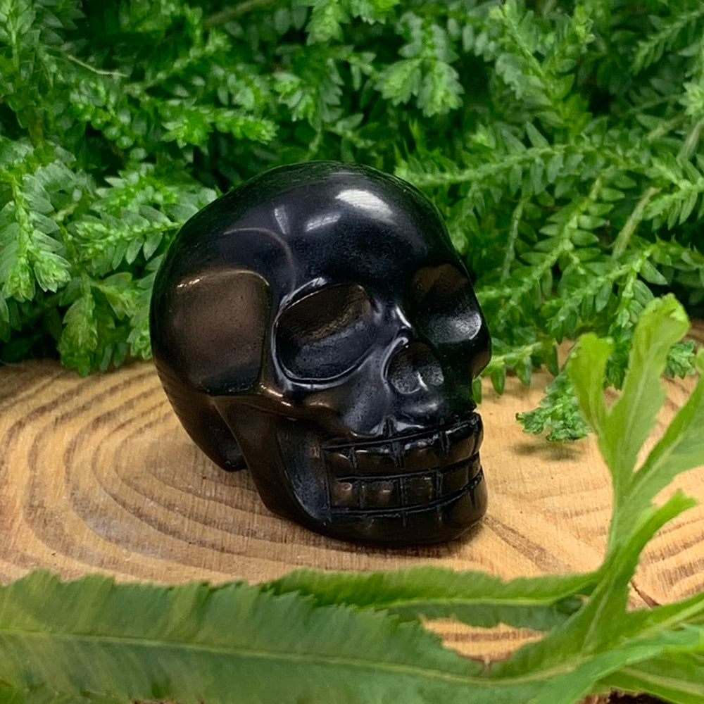 Crystal Spirit Totems: Black Protection Agate Skull – Spirit Magicka