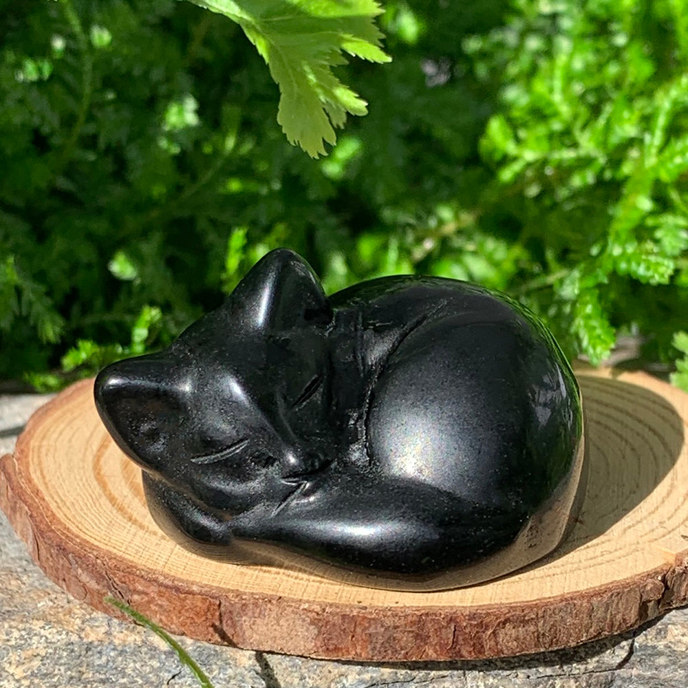 Crystal Animal Spirit Totems: Black Protection Agate Sleeping Cat ...