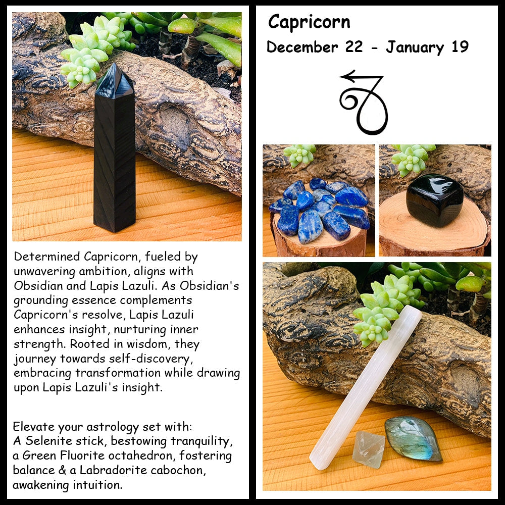 ♓ Capricorn - Zodiac Crystal Set – Spirit Magicka