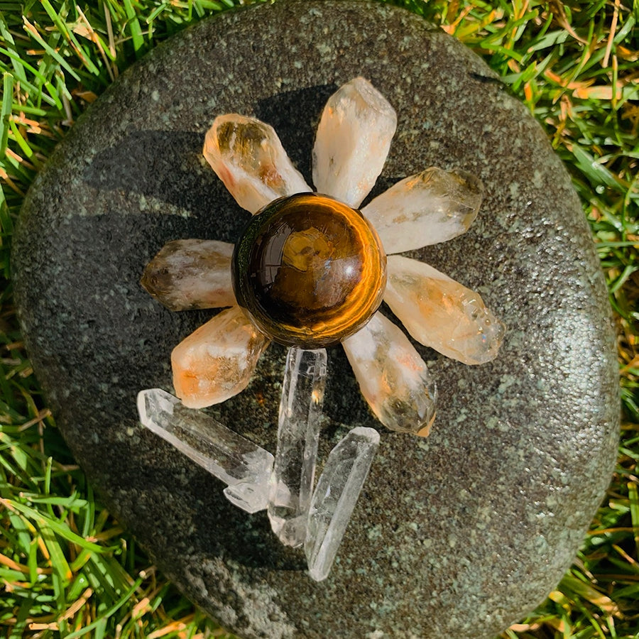 Citrine Tiger's Eye Crystal Mini Flower Power Set 🌼 – Spirit Magicka