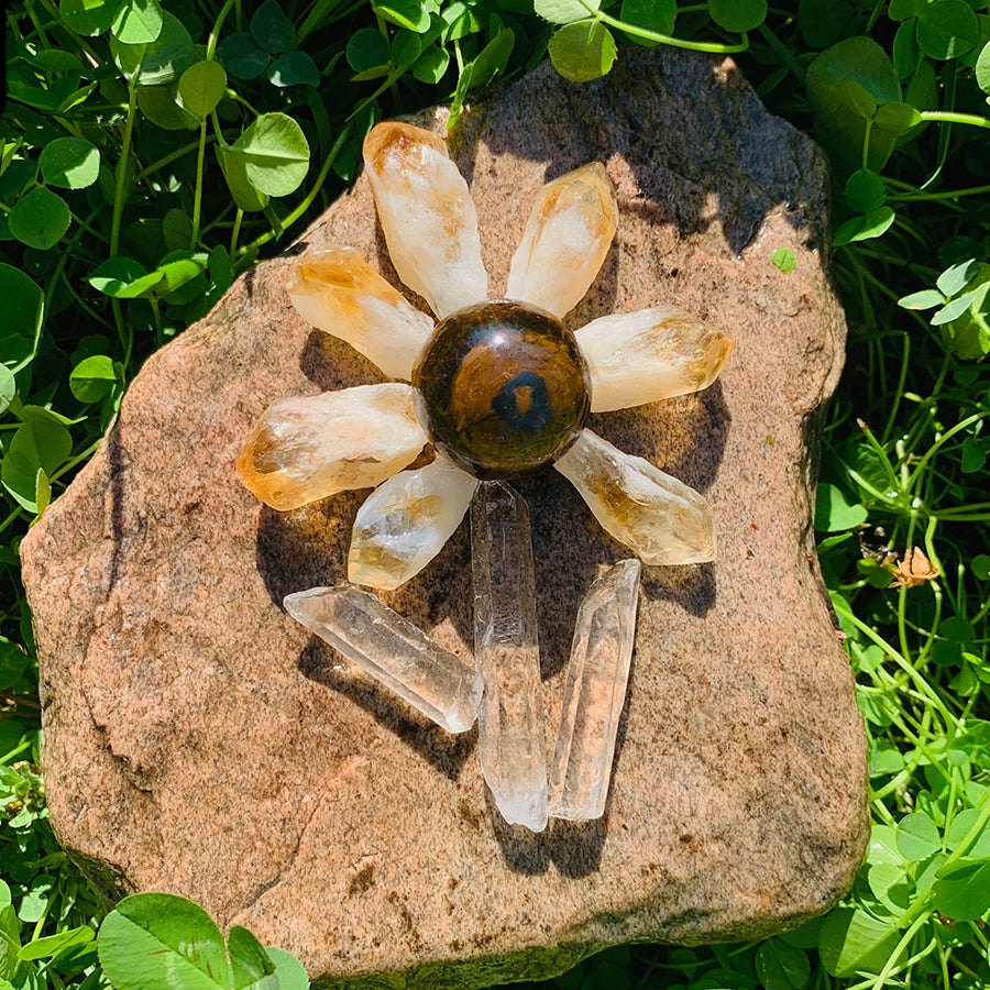 Citrine Tiger's Eye Crystal Mini Flower Power Set 🌼 – Spirit Magicka