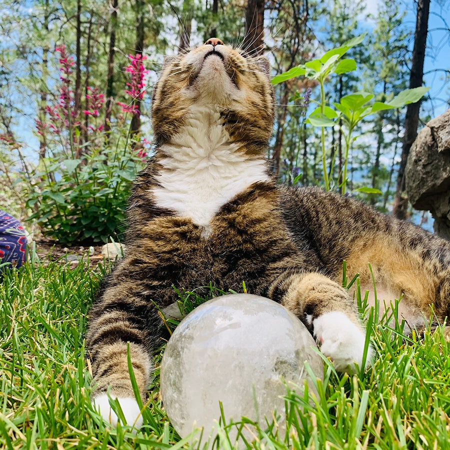 Crystal Quartz Scrying Orb – Spirit Magicka