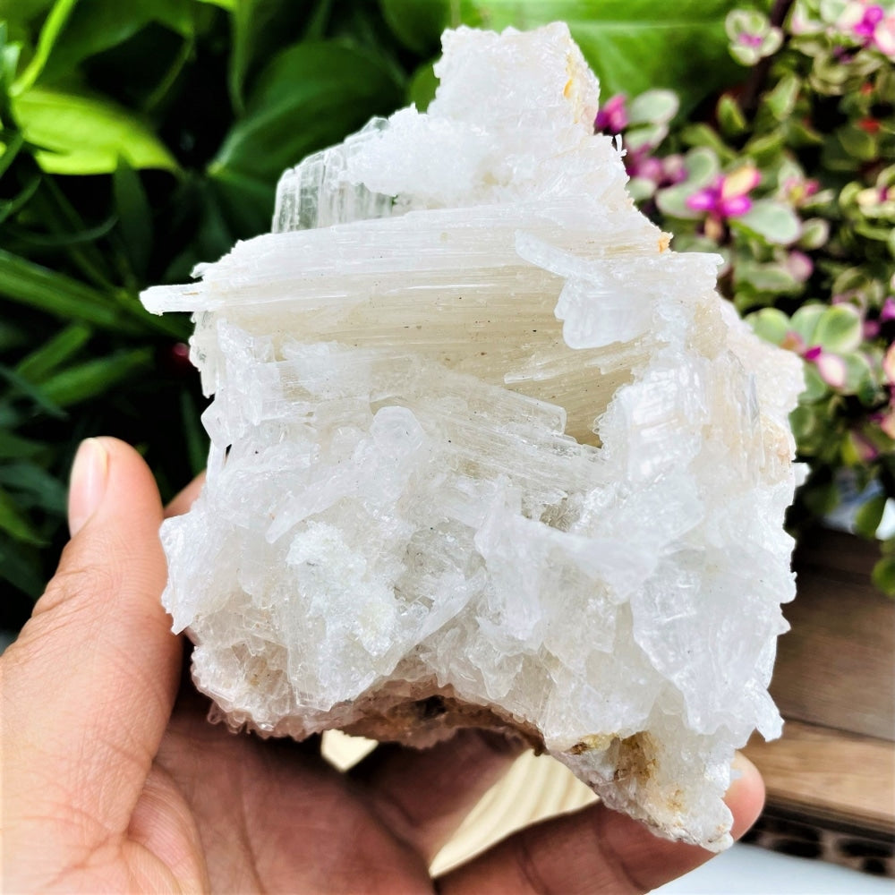 Large Selenite Cluster (Item #0044) – Spirit Magicka