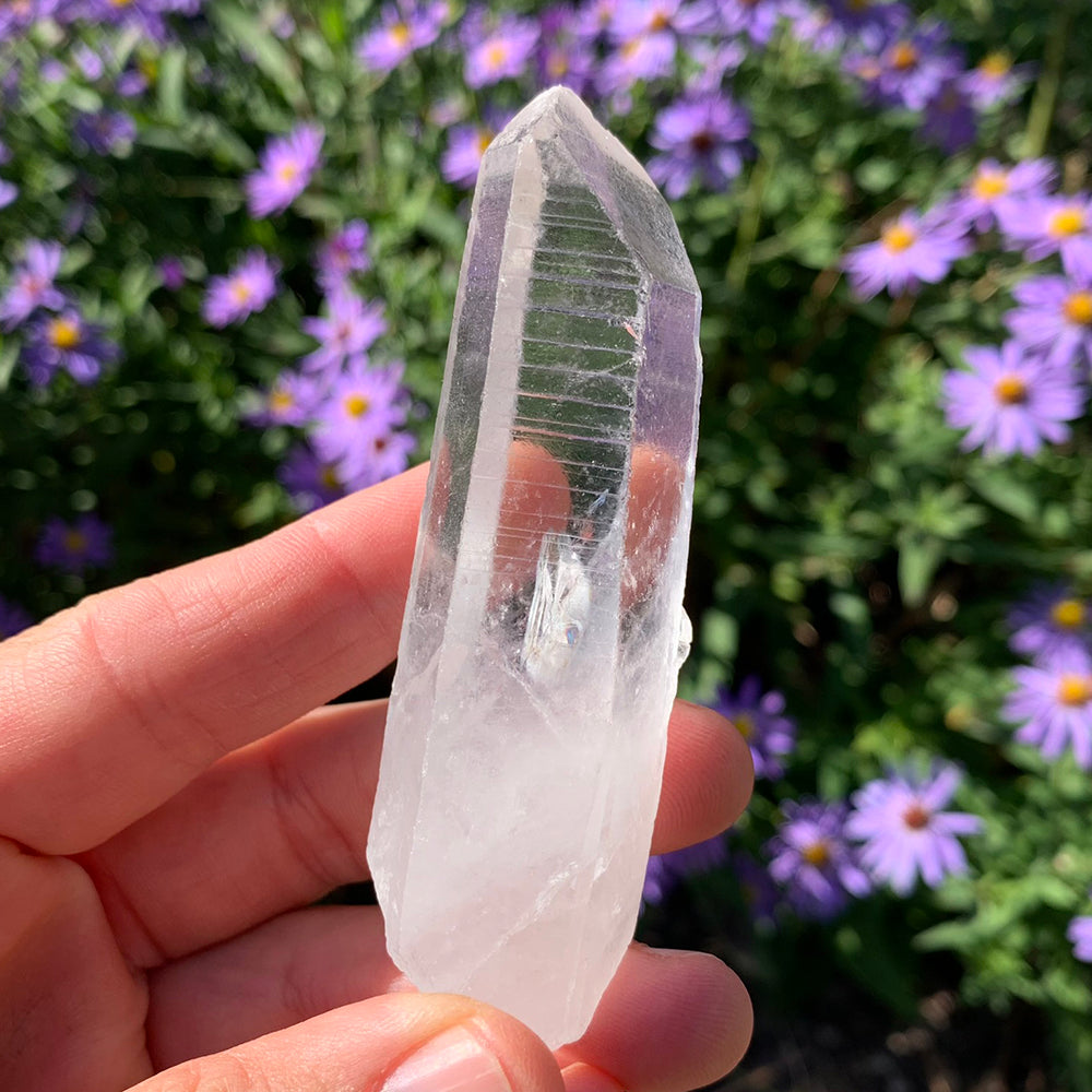 Lemurian Seed Crystal "Memory Quartz" – Spirit Magicka