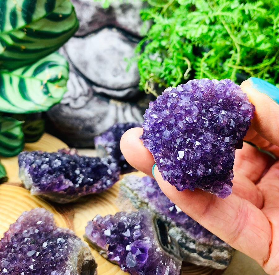 $5 Mini Amethyst Cluster - One Day-Only Promo – Spirit Magicka