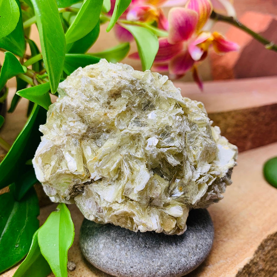 Natural Golden Mica Cluster – Spirit Magicka