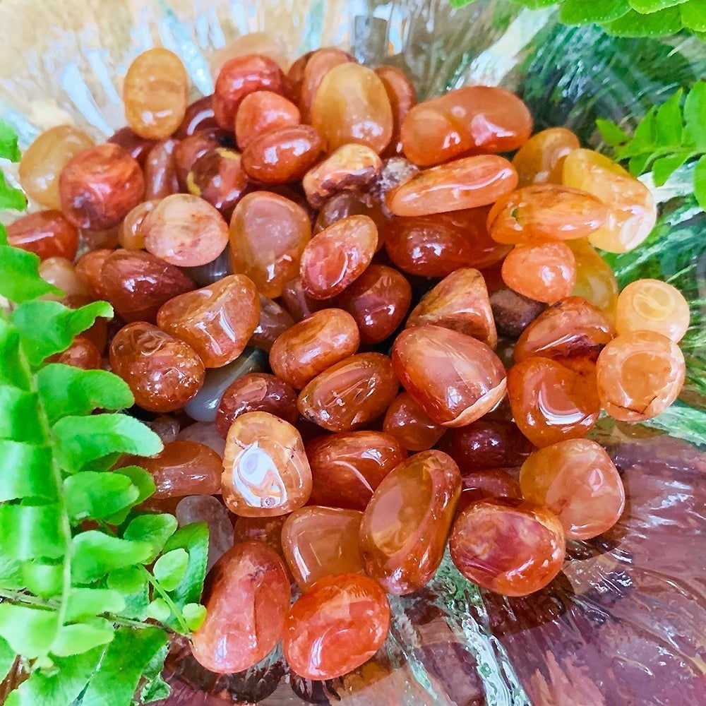Red Carnelian Chalcedony Mini Gemstones (50 Gram / 1.7oz. Lot) – Spirit ...