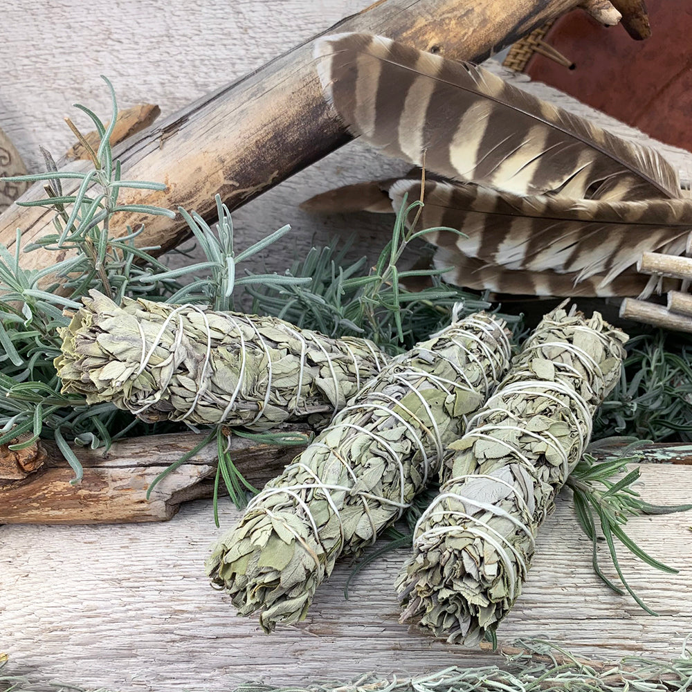 6-Inch White Sage Bundles – Spirit Magicka 6-Inch White Sage Bundles – Spirit Magicka