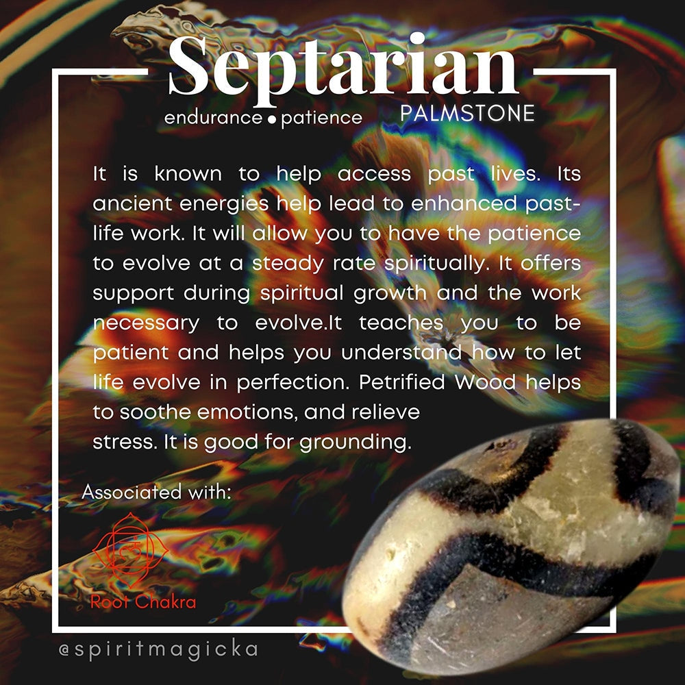 Septarian Palmstone – Spirit Magicka
