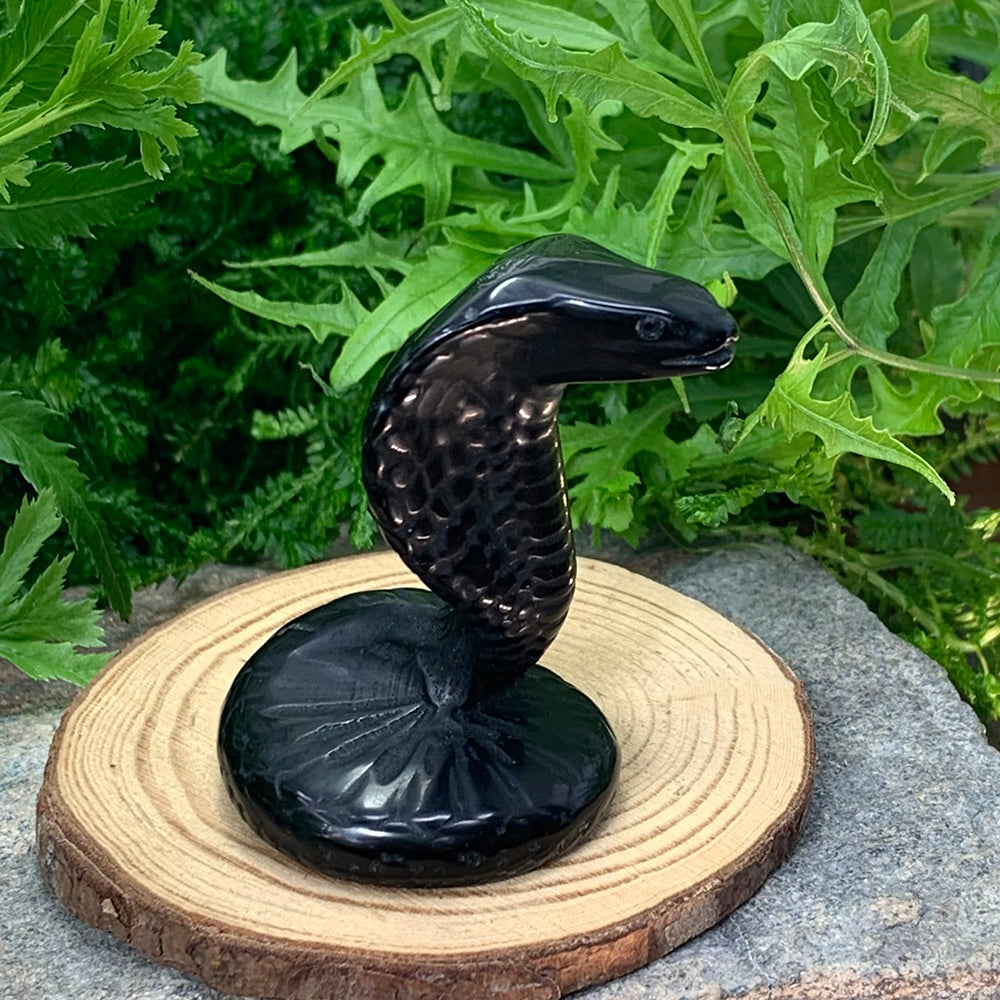 Crystal Animal Spirit Totems: Black Protection Agate Cobra – Spirit Magicka