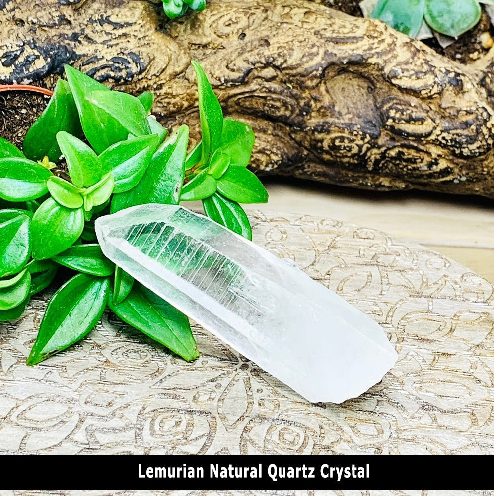 Starseed Crystal Altar Kit (7-Piece Set) – Spirit Magicka